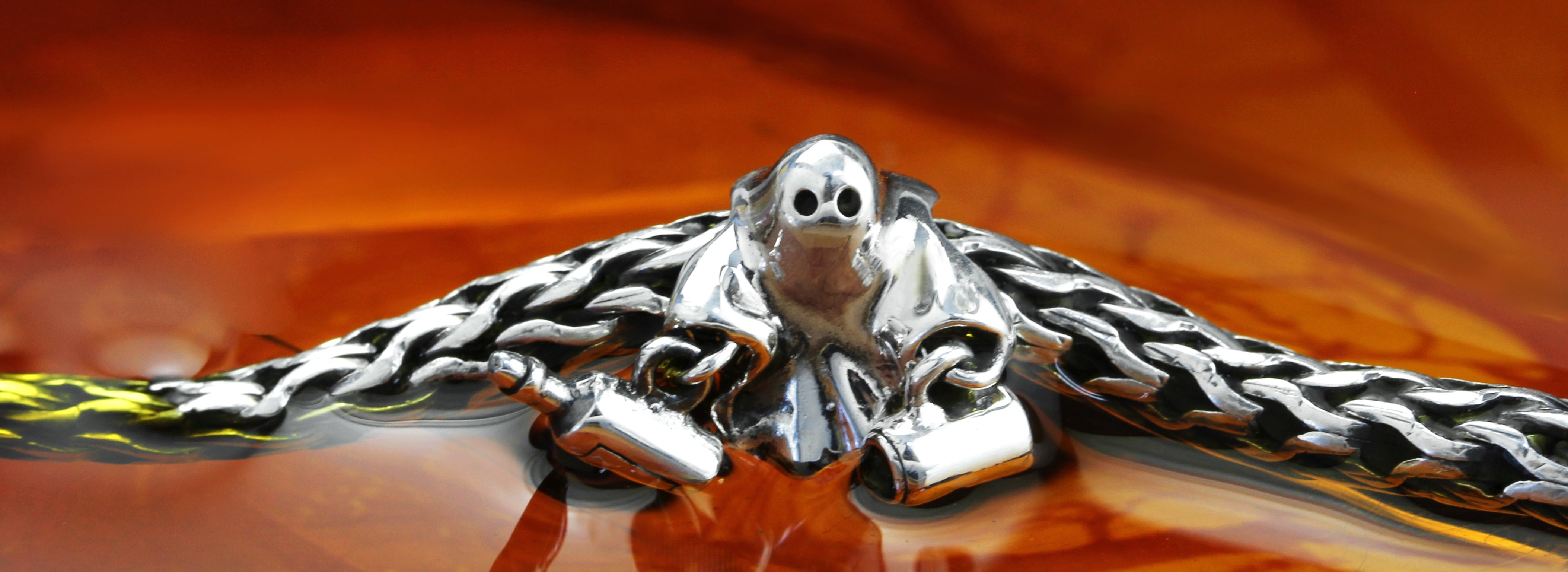 Collection: Halloween – OHM