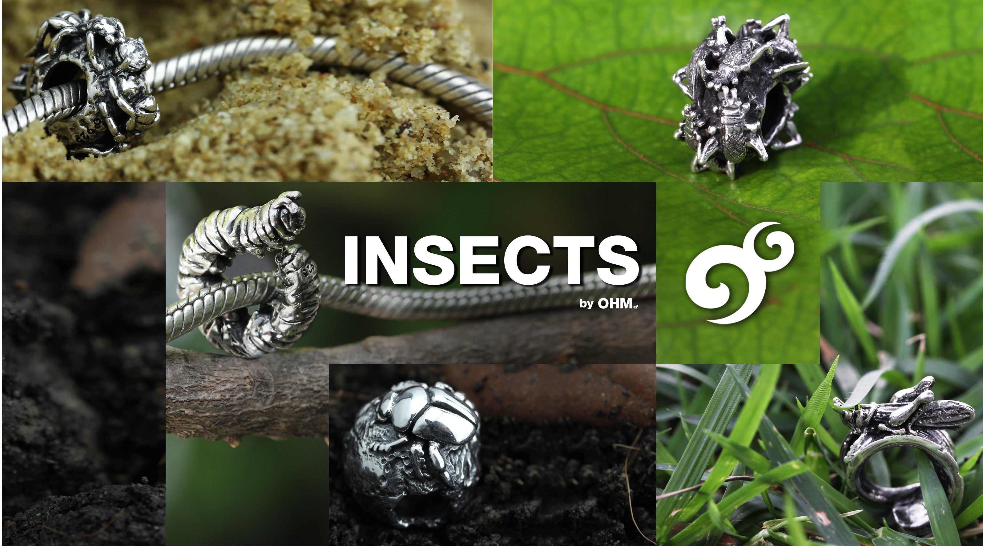 Collection: Insects – OHM